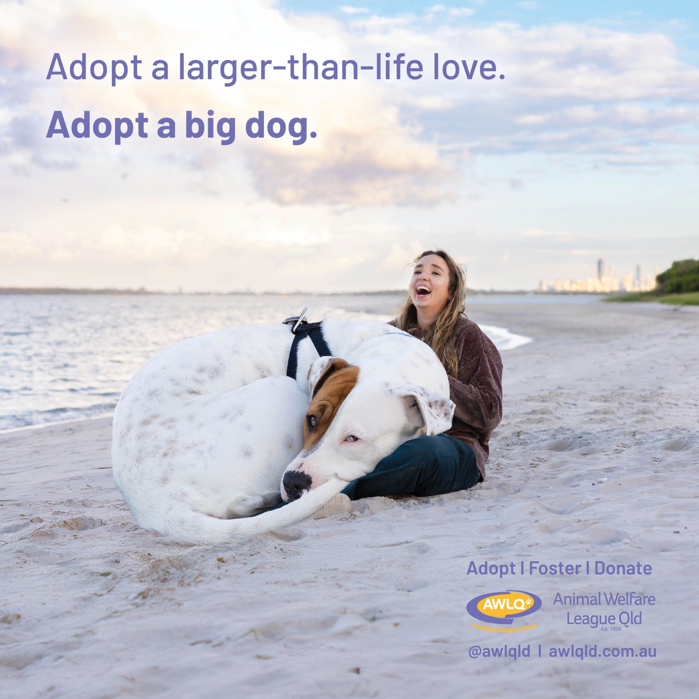 ADOPT A LARGER-THAN-LIFE LOVE | AWLQ