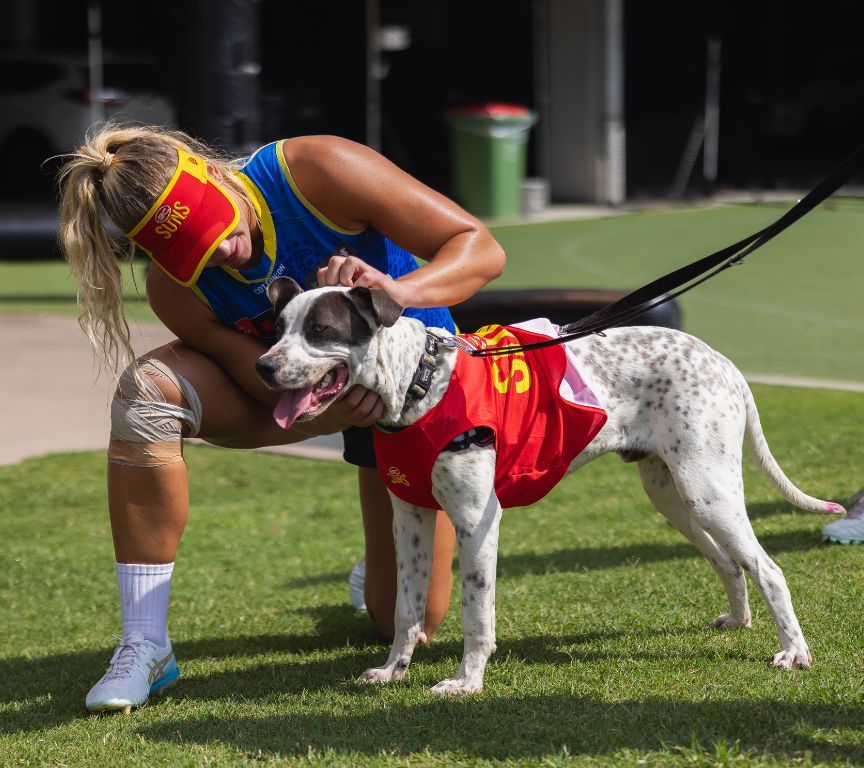 GC SUNS JOIN AWLQ FOR BIG ADOPTION CAMPAIGN | AWLQ